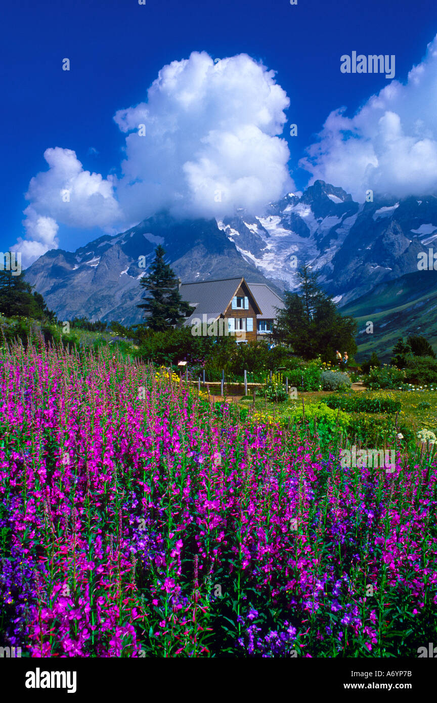 SPRING IN THE FRENCH ALPS NEAR MEGEVE FRANCE Stock Photo - Alamy