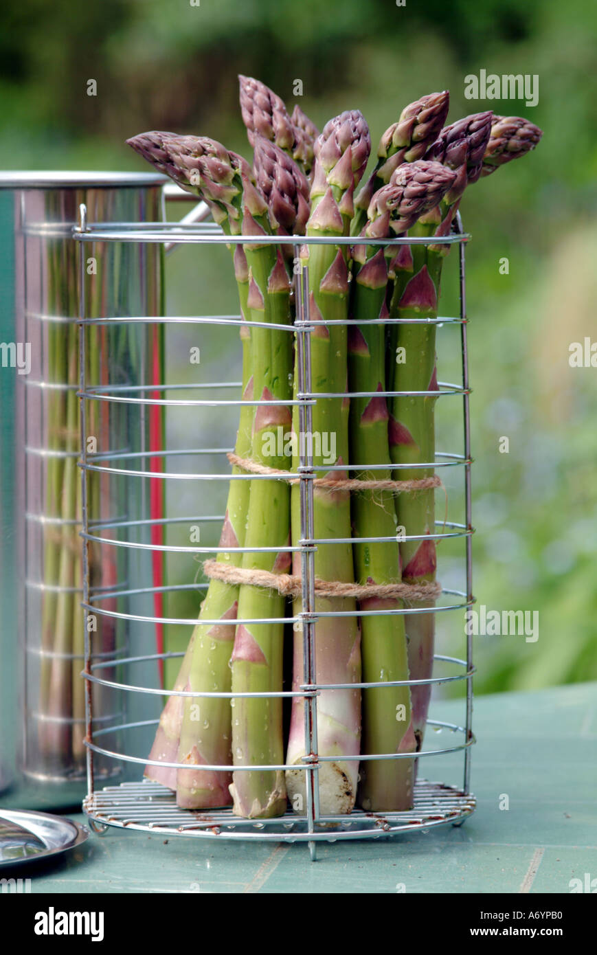 Asparagus crown hi-res stock photography and images - Alamy