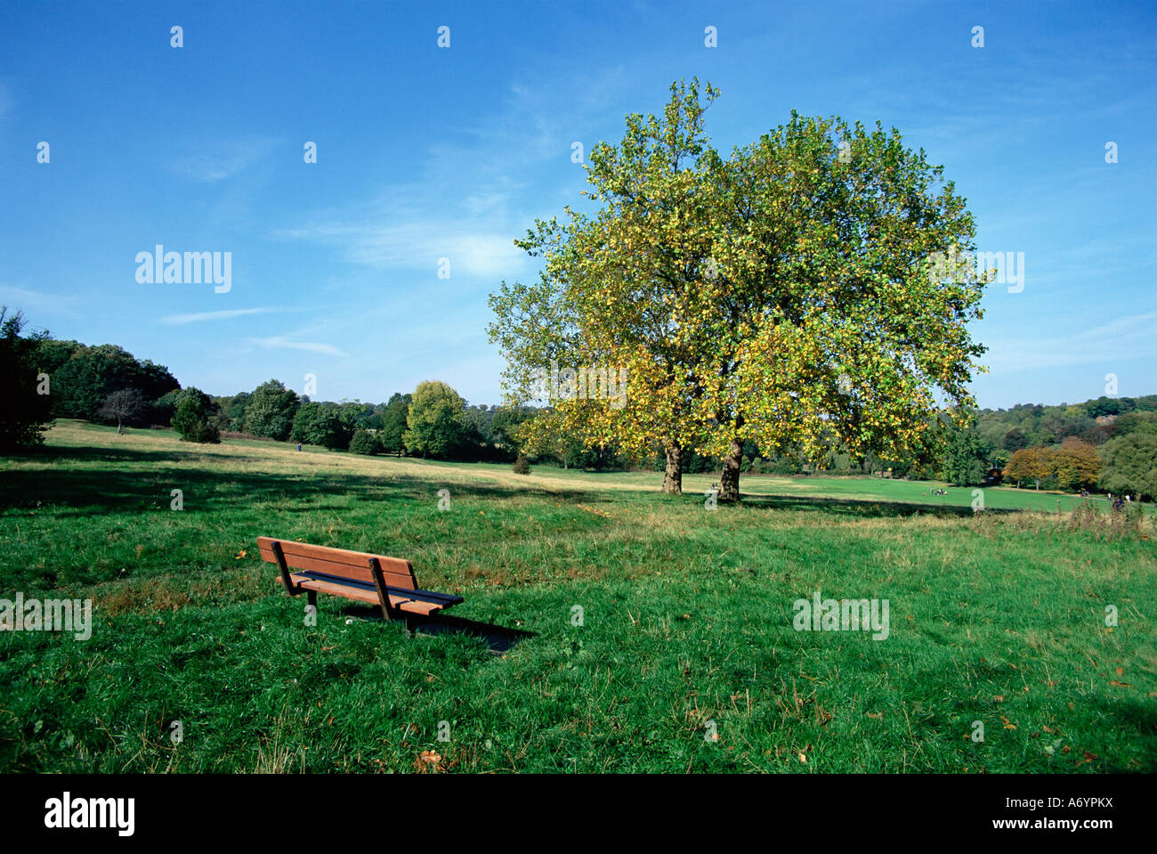 Hampstead Heath London England United Kingdom Europe Stock Photo - Alamy