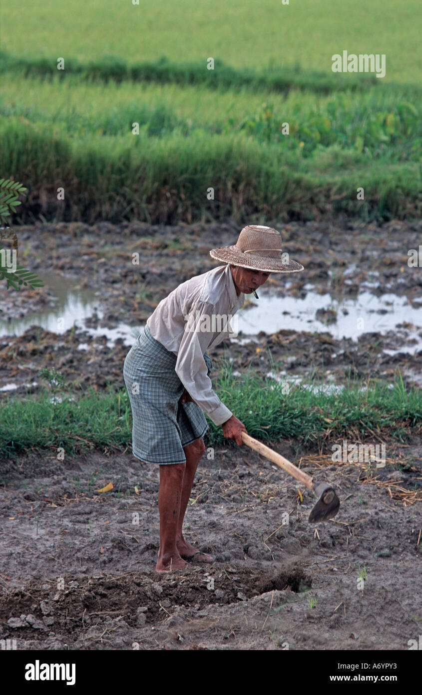 Farmer With Hoe Stock Photos & Farmer With Hoe Stock Images - Alamy