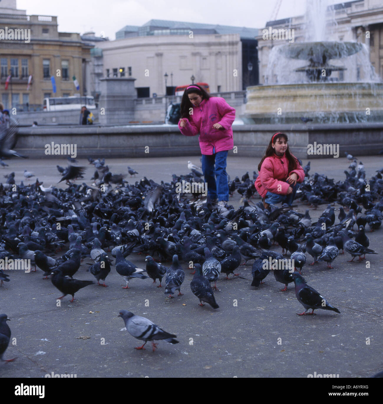 Children feeding Pigeons in Trafalgar Square London England Stock Photo ...