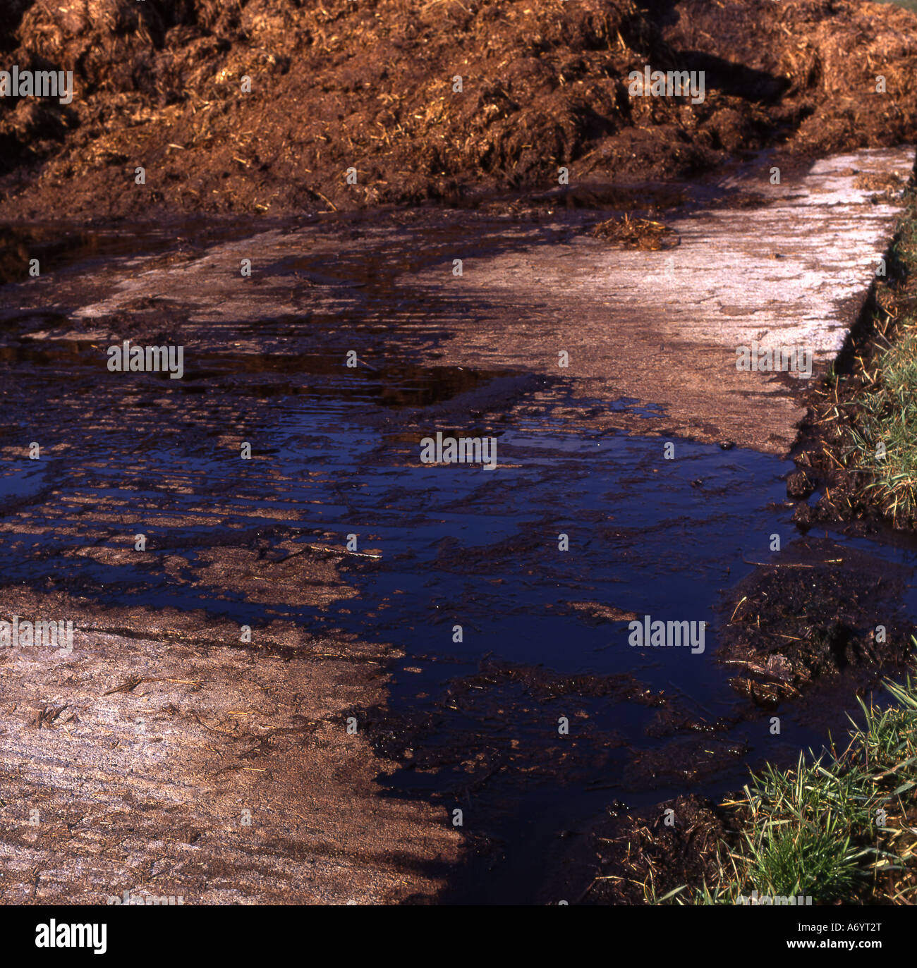 Hay Silage run off polluting watercourse Stock Photo - Alamy