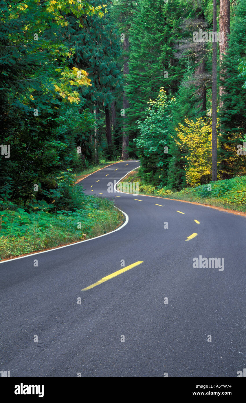 Aufderheide Memorial Drive National Scenic Byway Cascade Mountains ...