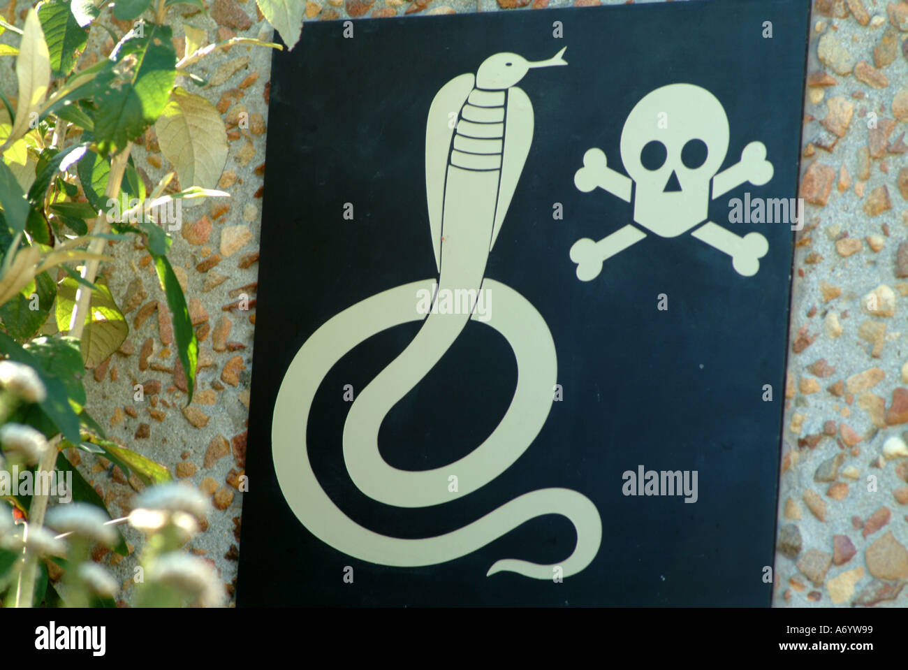 Cobra Snake Logo Stock Photos & Cobra Snake Logo Stock Images - Alamy