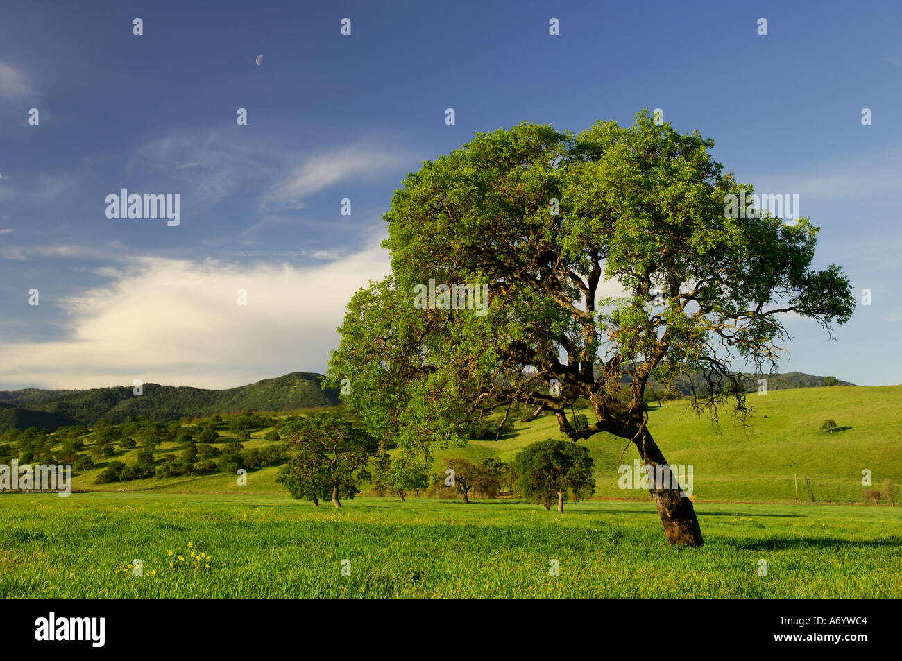 Gabilan range hi-res stock photography and images - Alamy