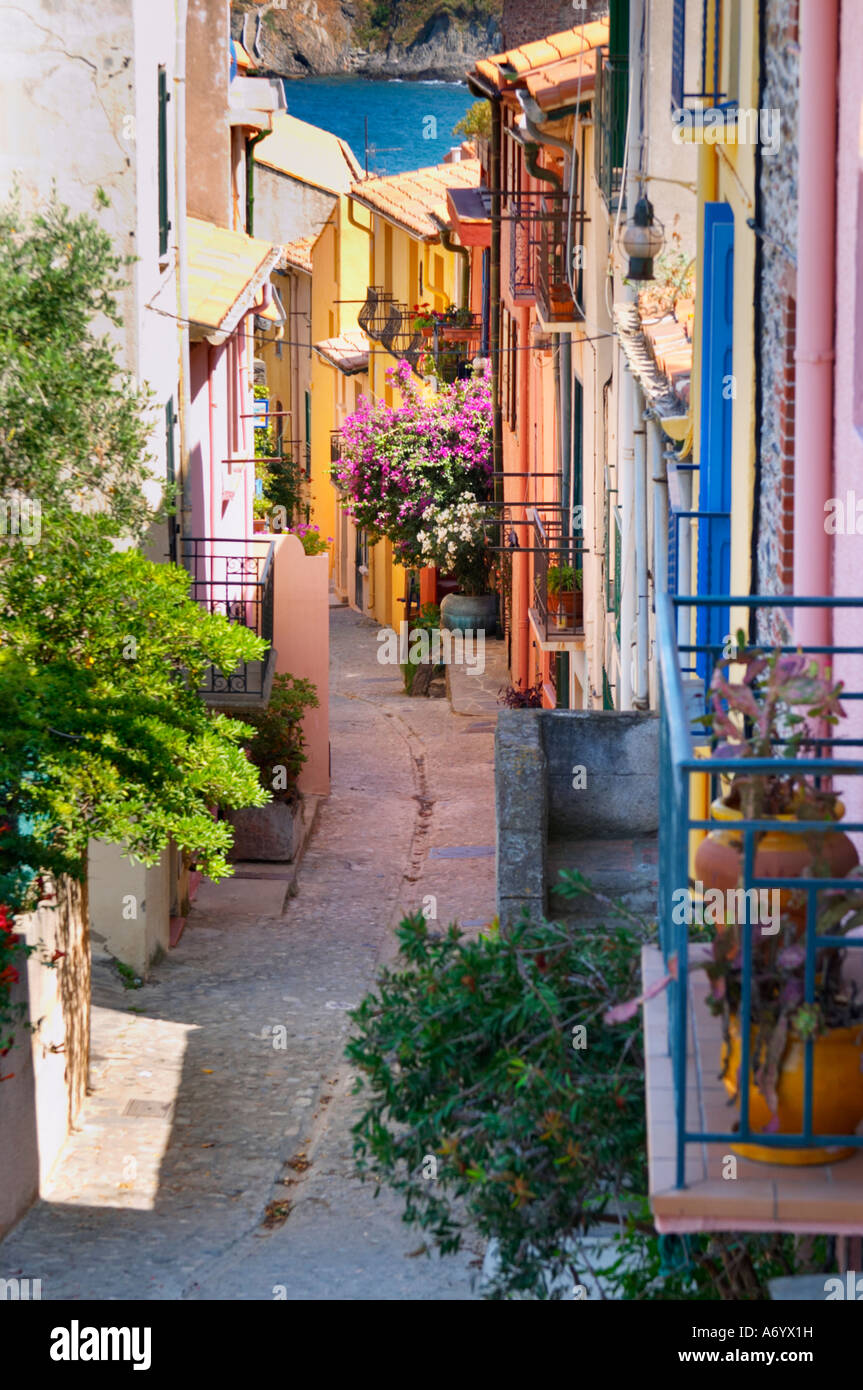 A narrow street in the old town. Collioure. Roussillon. France. Europe ...