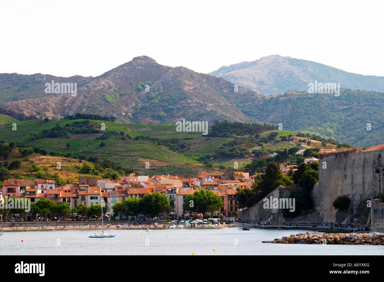The beach in the village. The chateau in Collioure harbour. Collioure ...