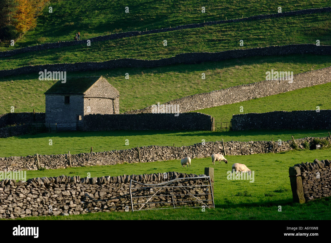 Landscape near Castleton in the Peak District, Derbyshire, England, UK ...