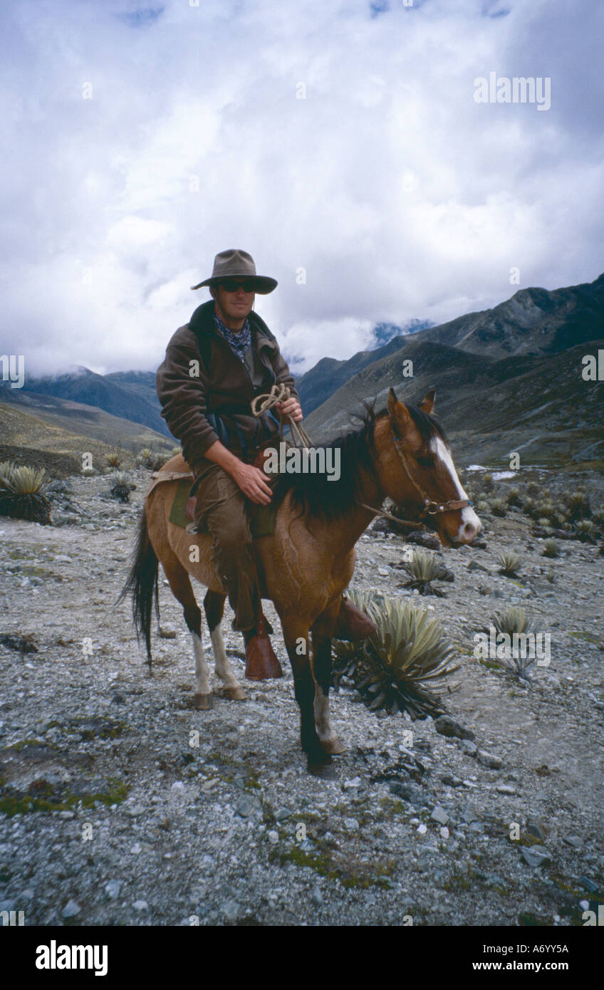 Mule rider hi-res stock photography and images - Alamy