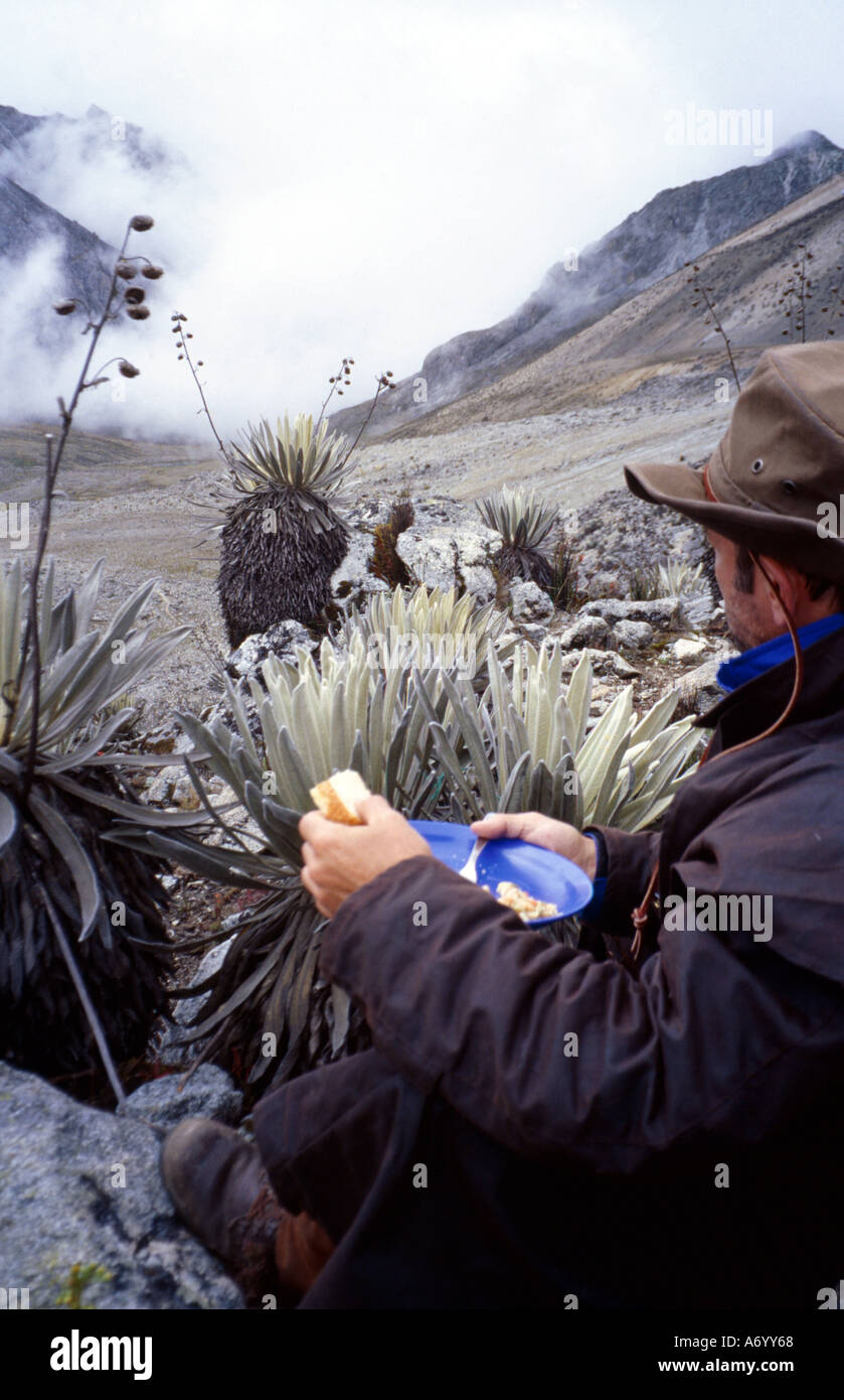 The pioneer column stops for lunch on a highland pass colonised only by ...