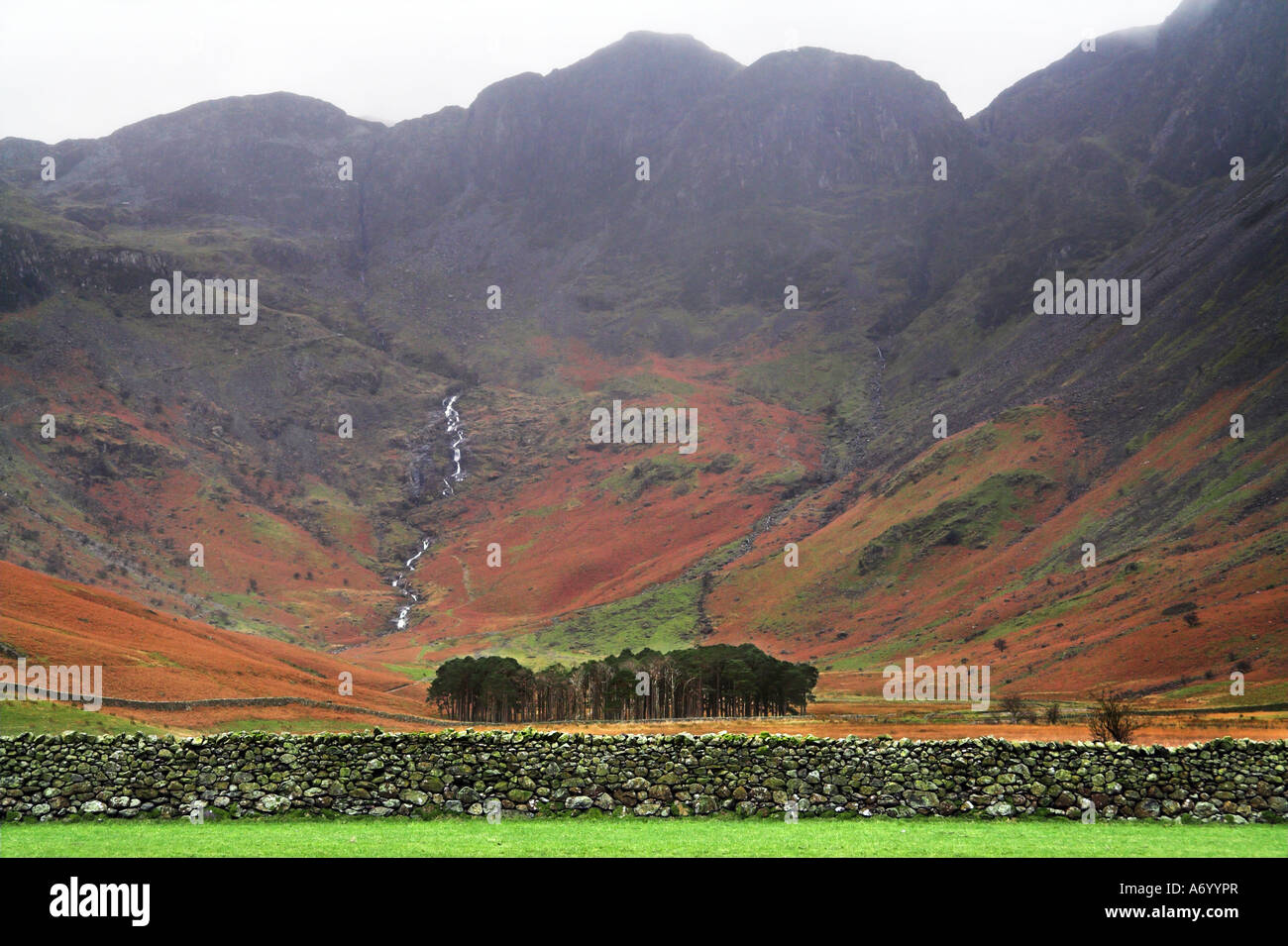 A dry stone wall marks a clear distinction between the carefully ...