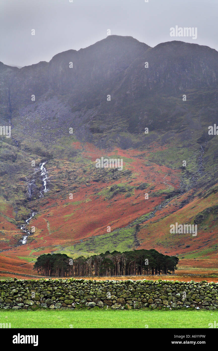 A dry stone wall marks a clear distinction between the carefully ...