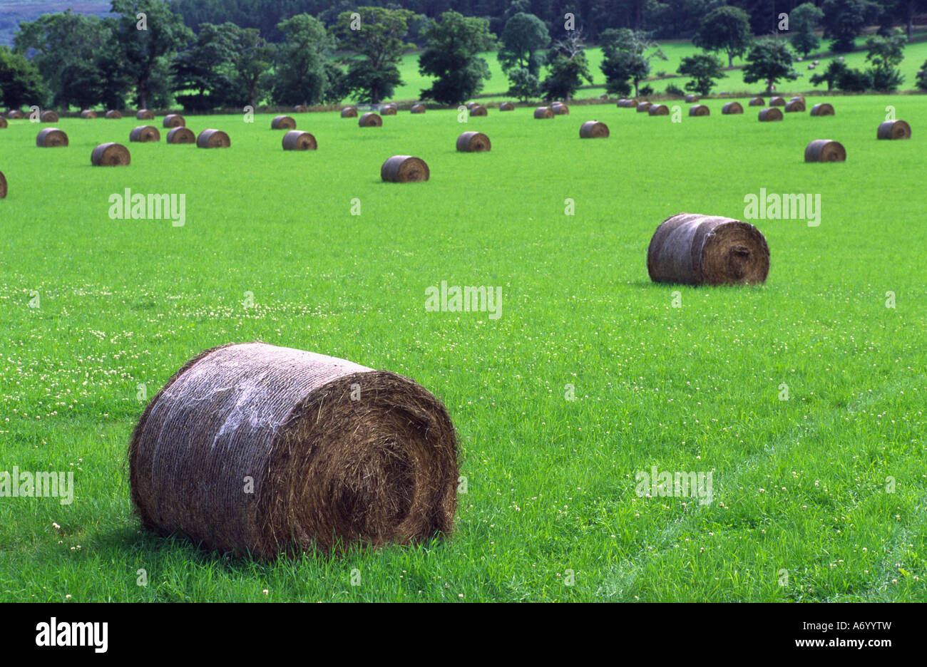 Hay & land, Scotland Stock Photo - Alamy