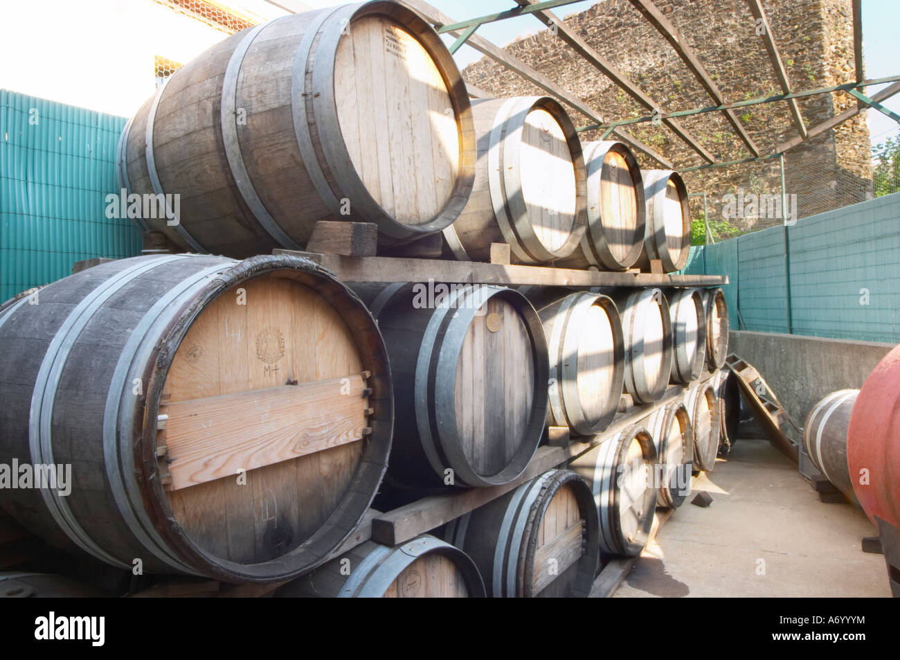 Domaine Pietri-Geraud Roussillon. Barrel cellar. France. Europe Stock ...