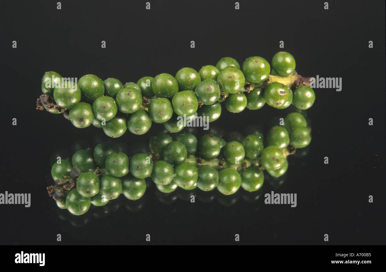 green pepper fruit Stock Photo - Alamy