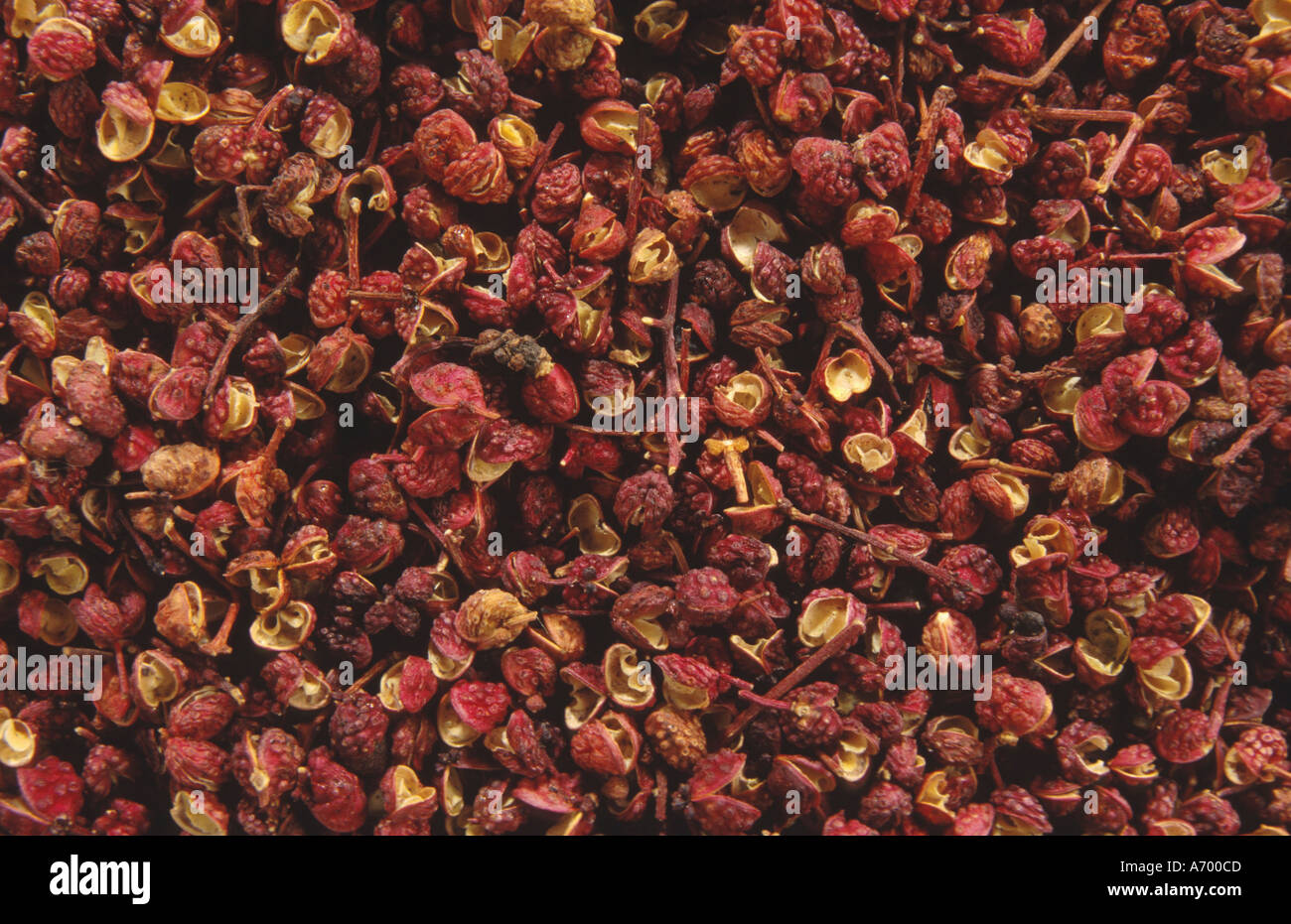 Xanthoxylum hi-res stock photography and images - Alamy