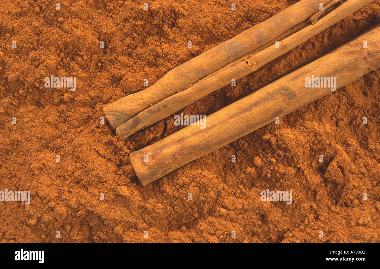 zimt cinnamon ceylanicum Stock Photo - Alamy