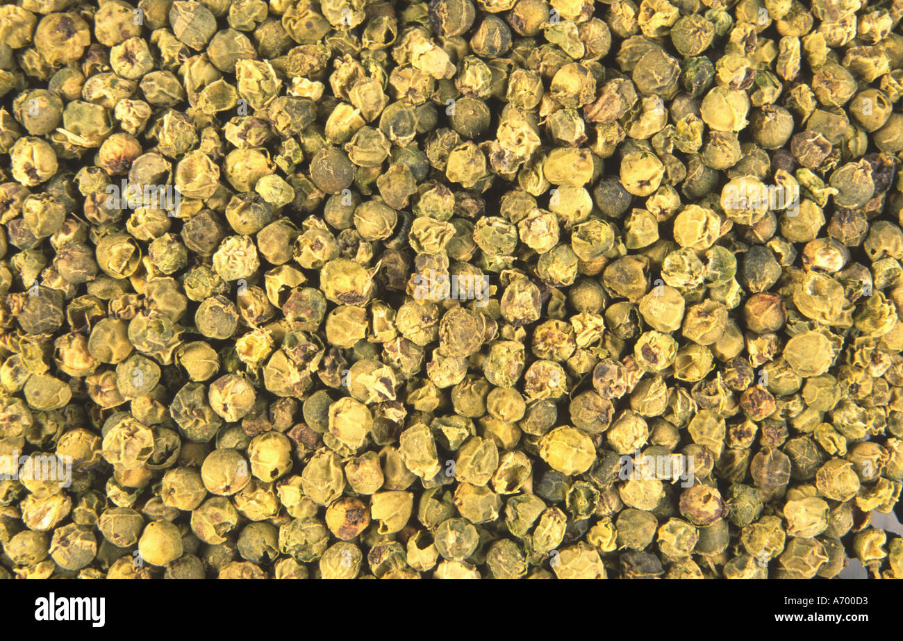 green pepper corns dried Stock Photo - Alamy