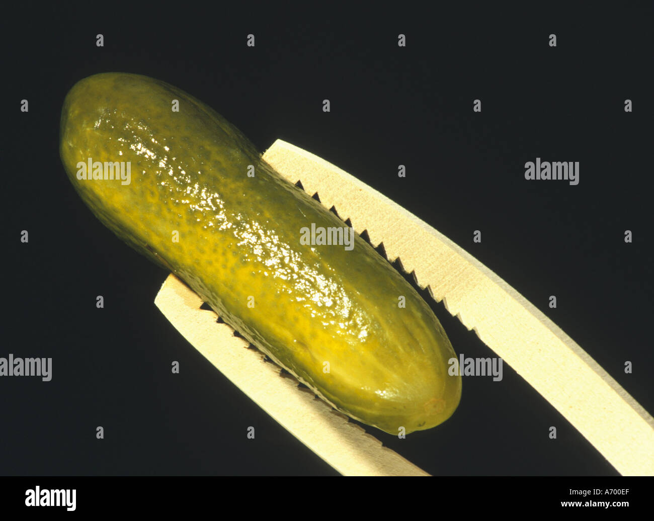 food vegetable pickled gherkins Gurken Stock Photo - Alamy