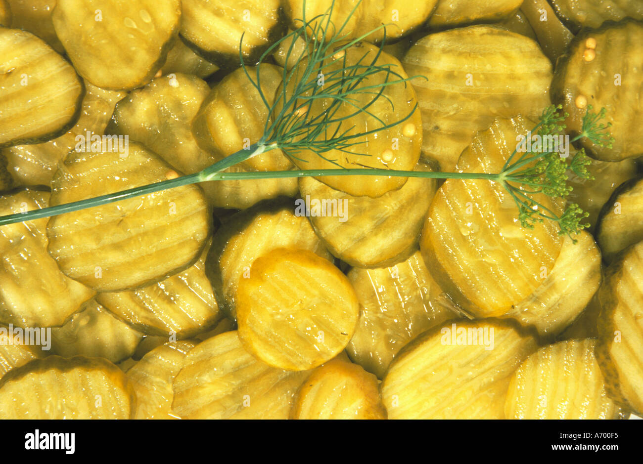 food vegetable pickled gherkins Gurken Stock Photo - Alamy