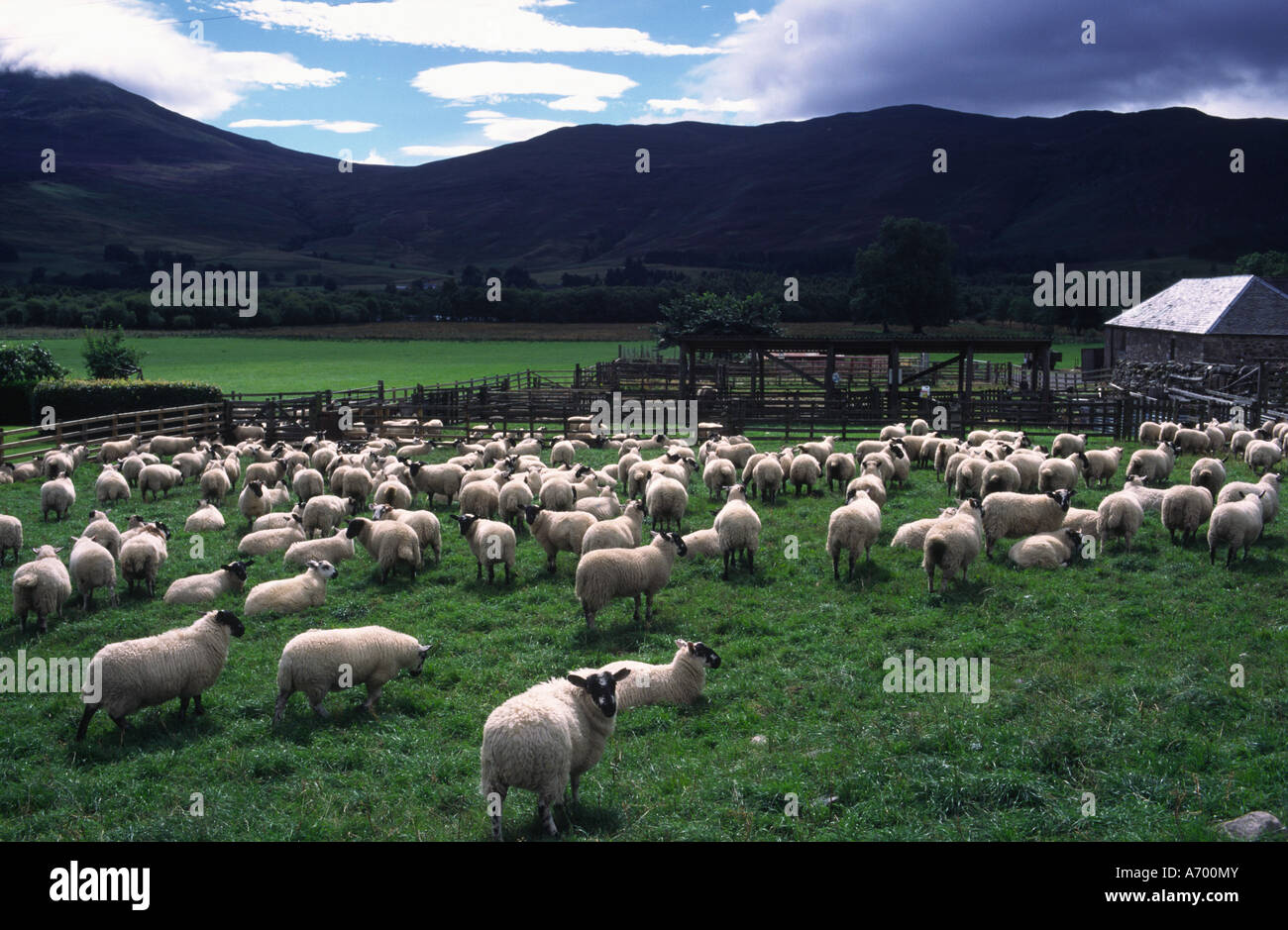 Melvich, Scotland Highland Stock Photo - Alamy