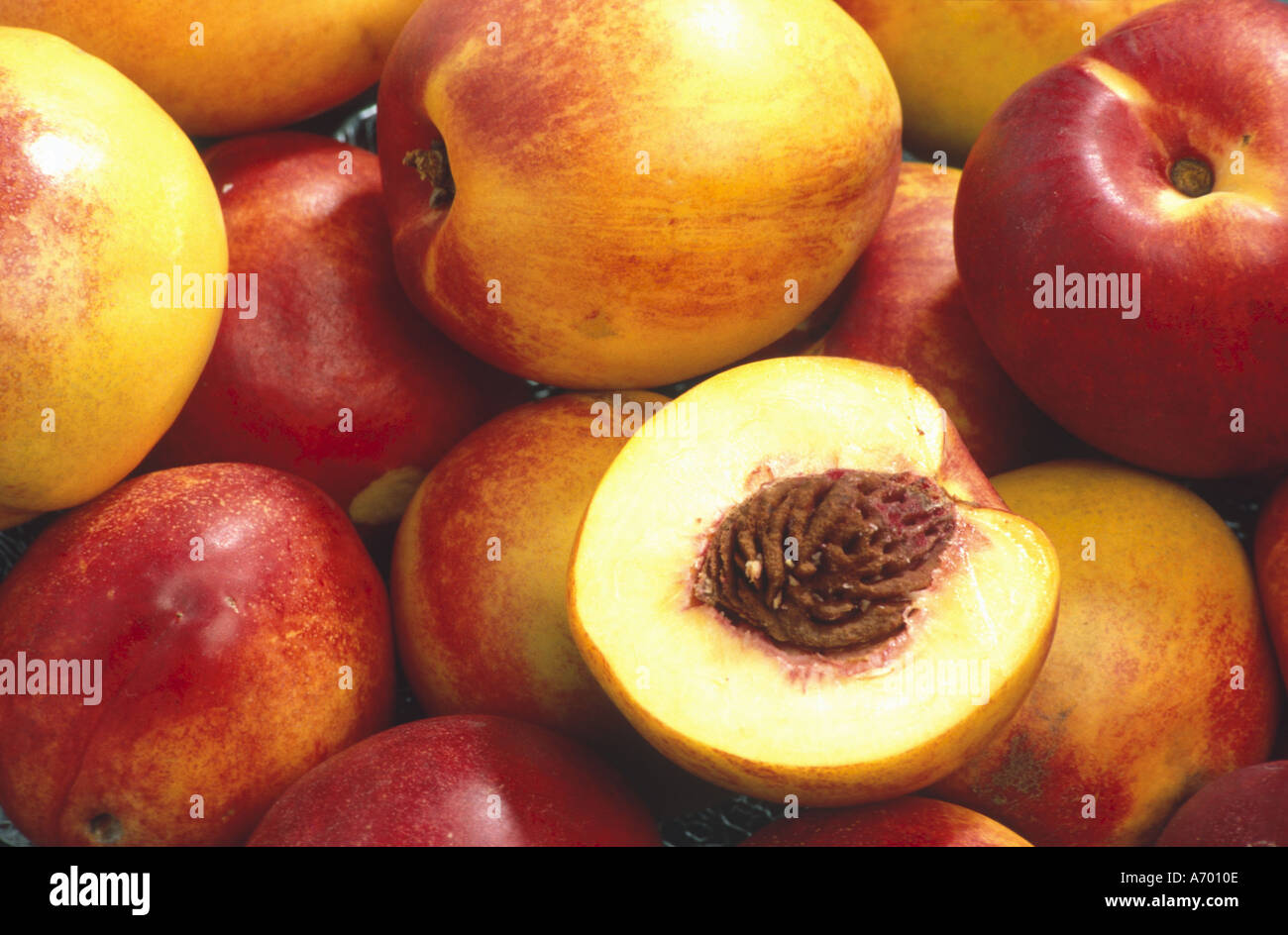 food fruit fruits necatarine nectarines nektarinen Stock Photo - Alamy