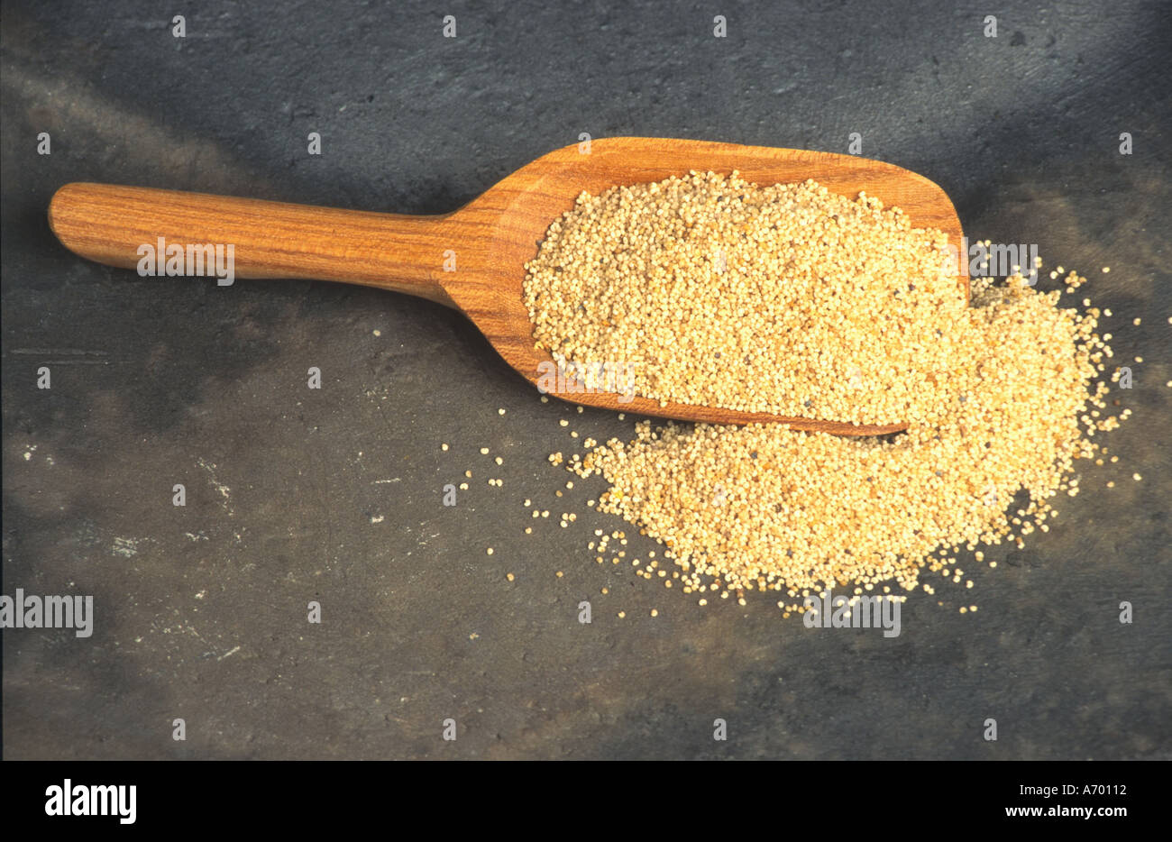 food spice white poppy seeds Stock Photo - Alamy