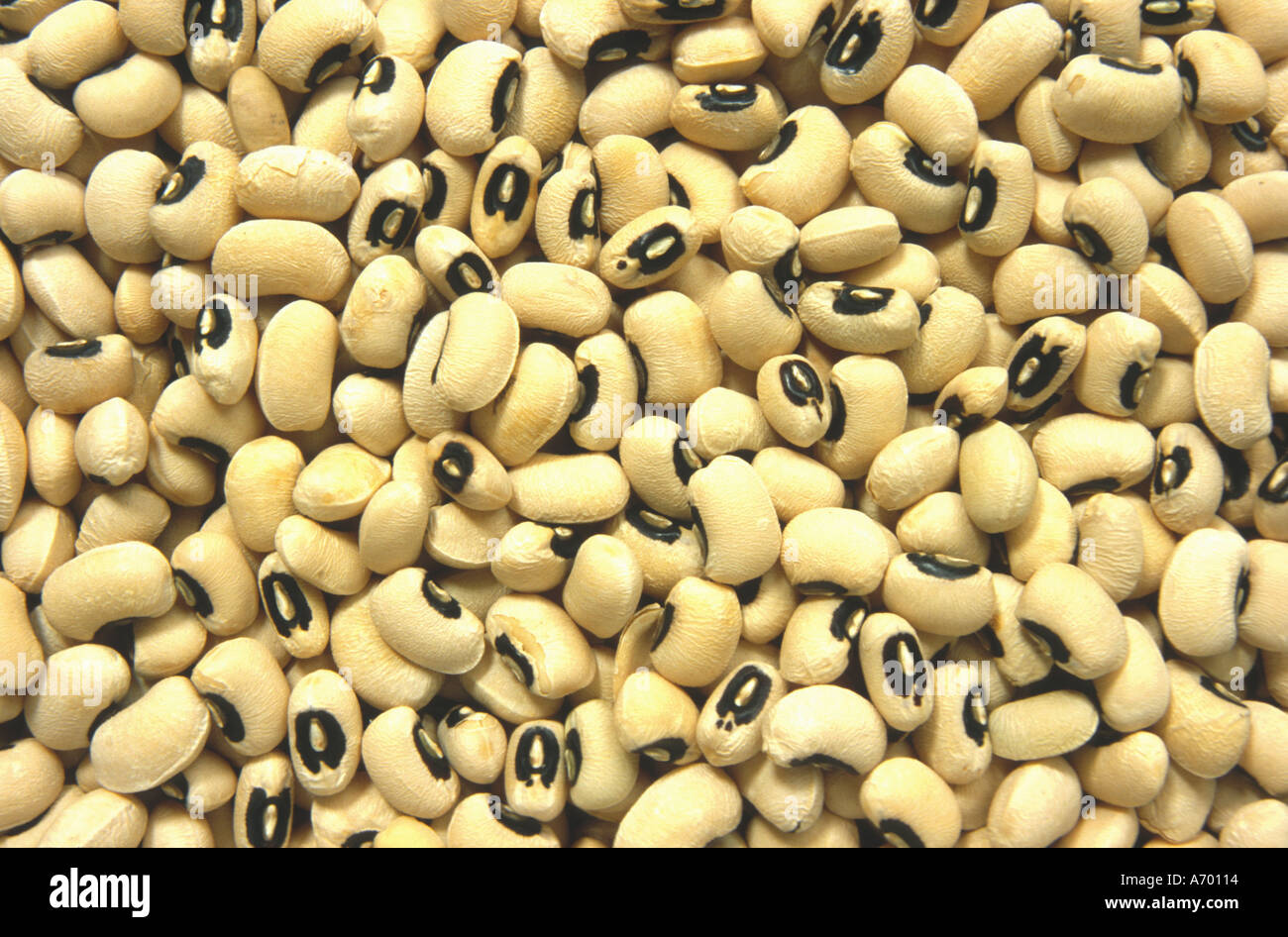 beans food black eye beans Stock Photo - Alamy