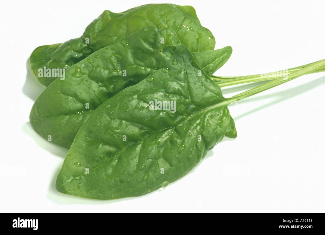 food vegetable spinach Stock Photo - Alamy