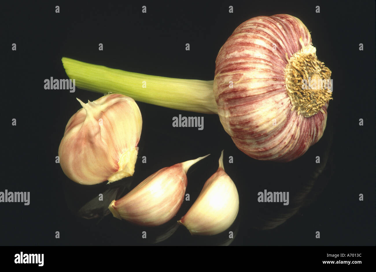 food fresh green garlic knoblauch allium sativum Stock Photo - Alamy