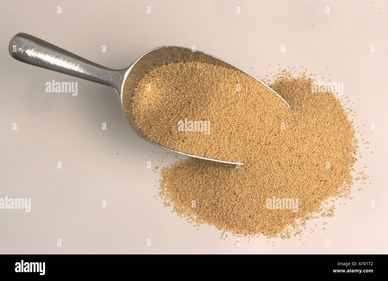 food cereals amaranth amaranthus spp Stock Photo - Alamy