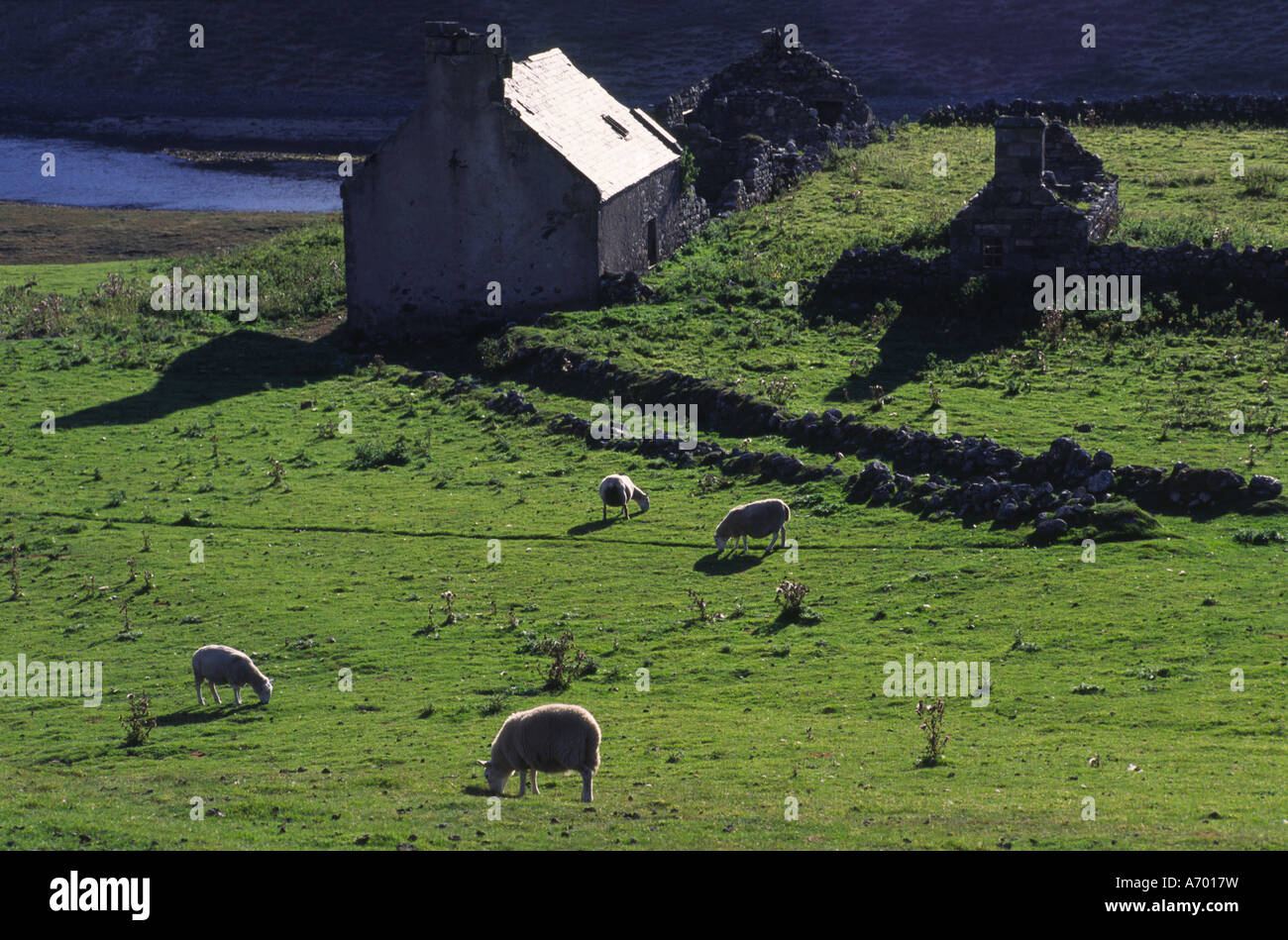 Melvich, Scotland Highland Stock Photo - Alamy