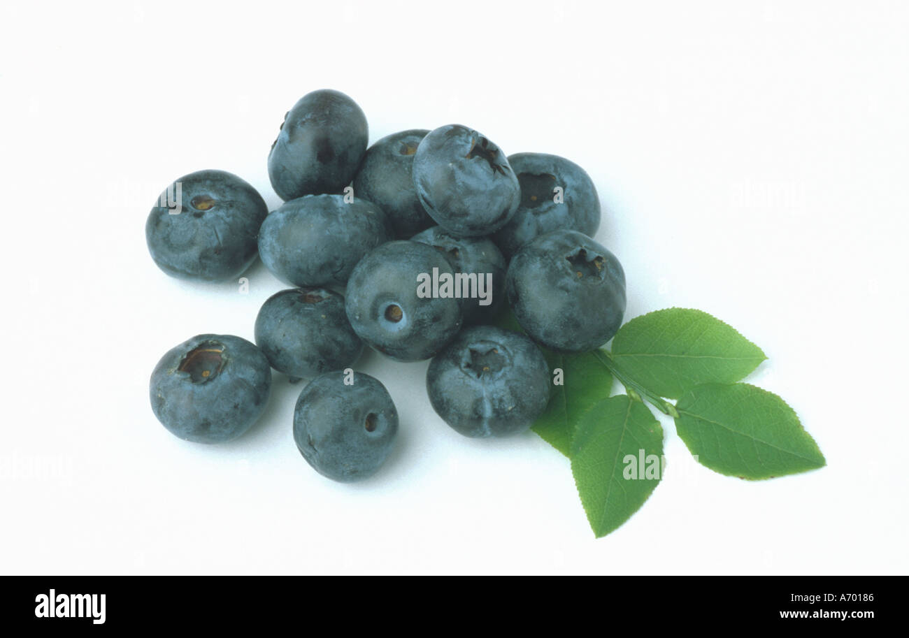 food fruits berry berries blue blueberry blueberries blaubeeren Stock ...