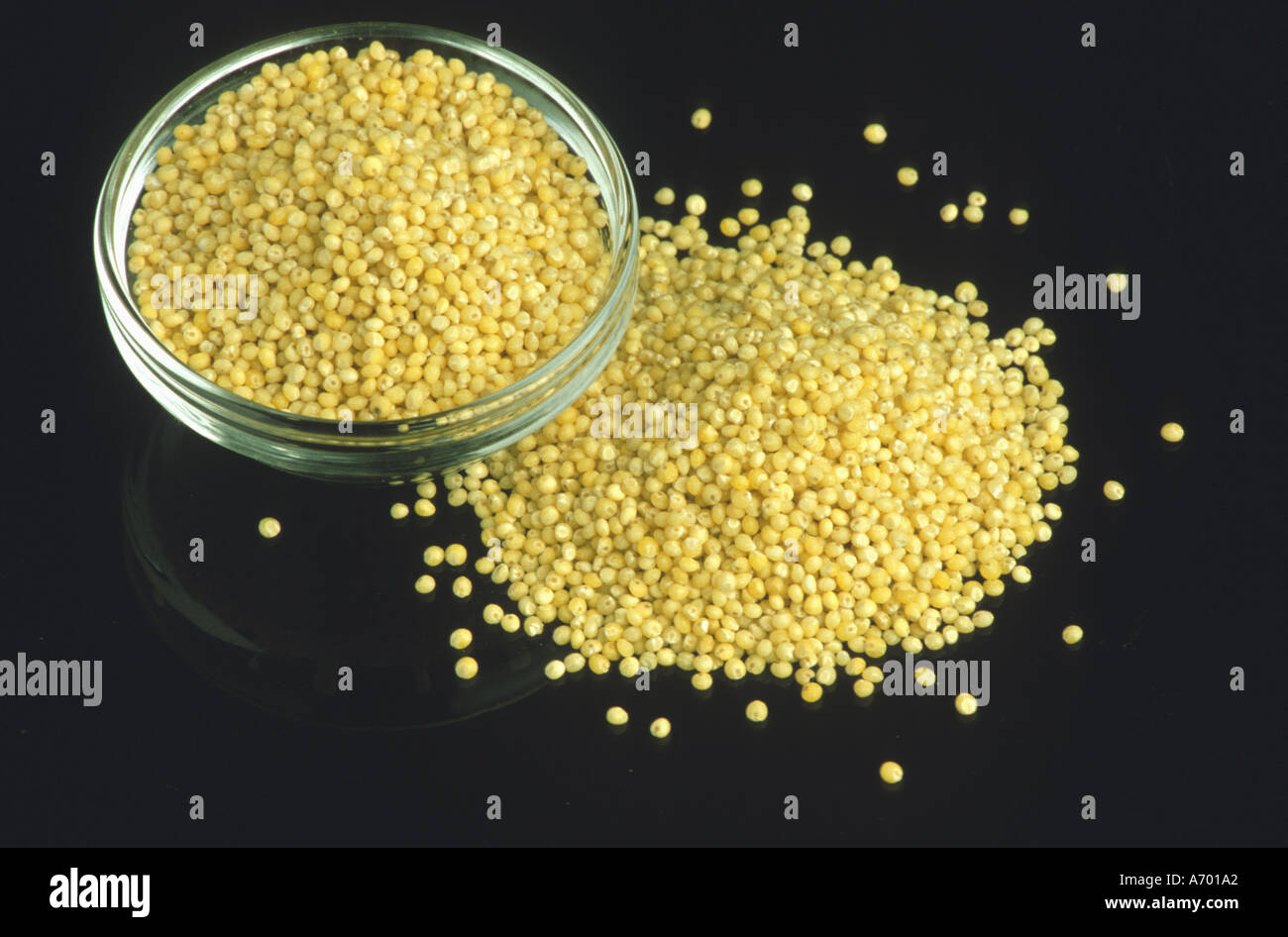 food cereals millet panicle panicle millet panicum milliaceum Stock ...