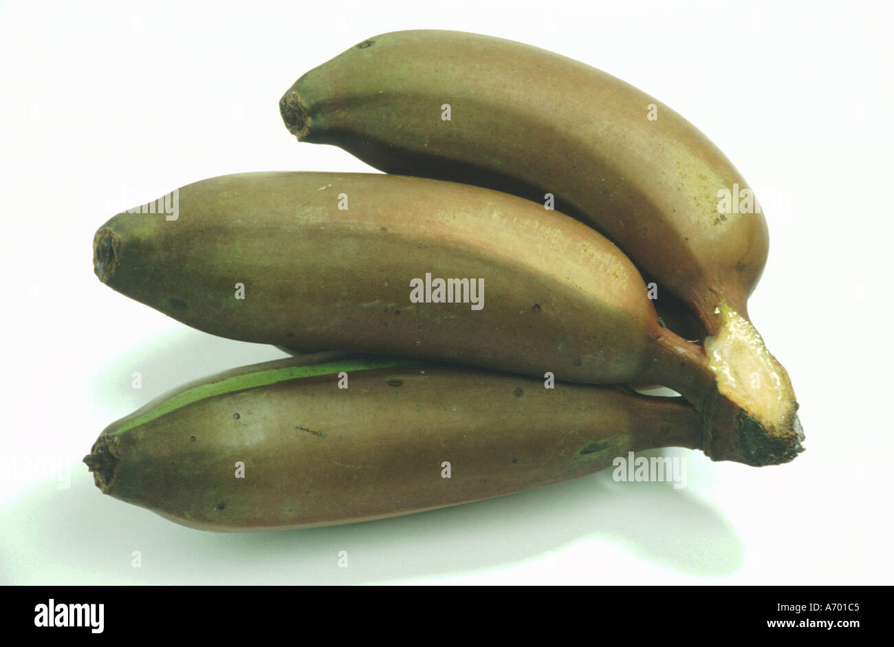 food fruit fruits exotic banana bananas special kind from Costa Rica ...