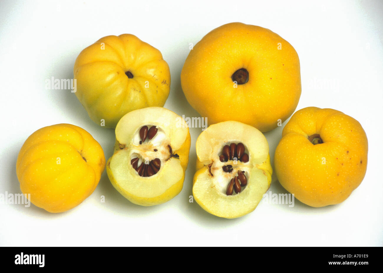 Food fruit fruits quinces quitten hi-res stock photography and images ...