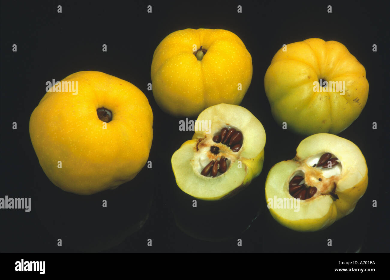 food fruit fruits quinces quitten Stock Photo - Alamy