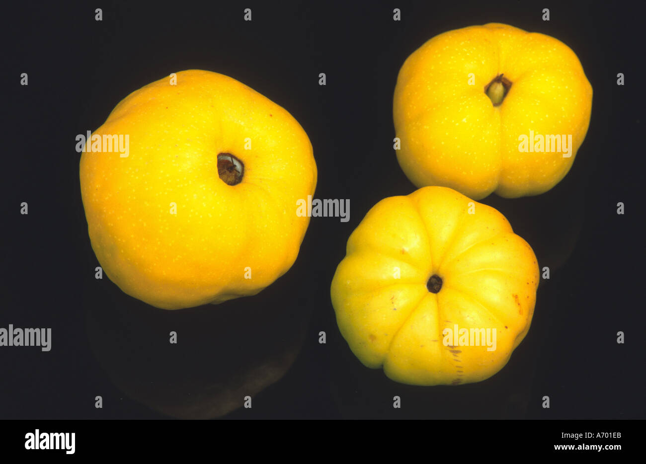 food fruit fruits quinces quitten Stock Photo - Alamy