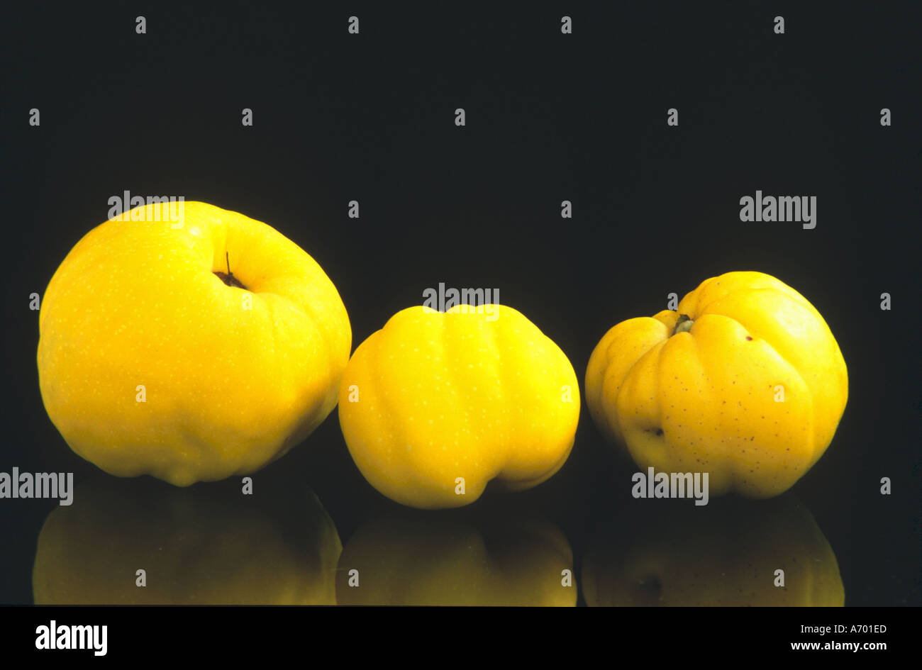 food fruit fruits quinces quitten Stock Photo - Alamy