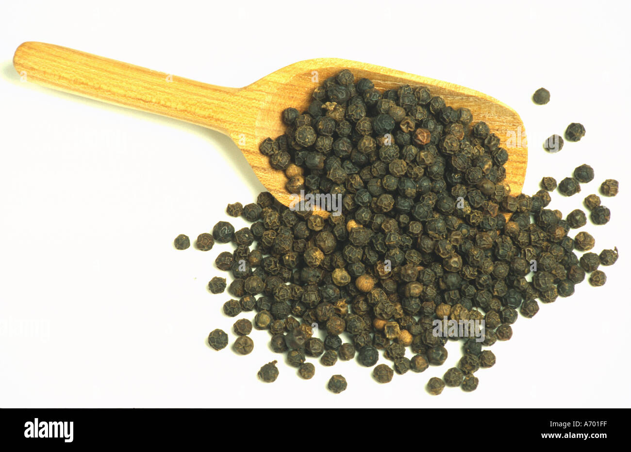 black pepper piper nigrum Stock Photo - Alamy