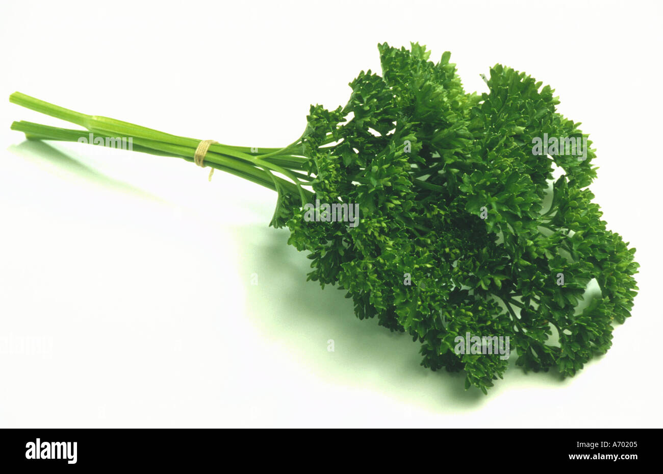 Petersilie hi-res stock photography and images - Alamy