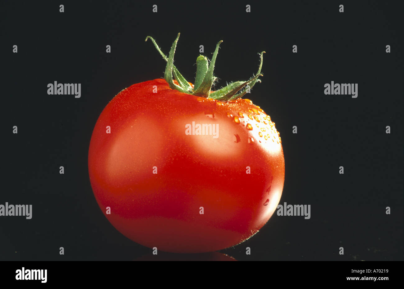 food vegetable fruit fruits red tomato one single tomatoes Stock Photo ...