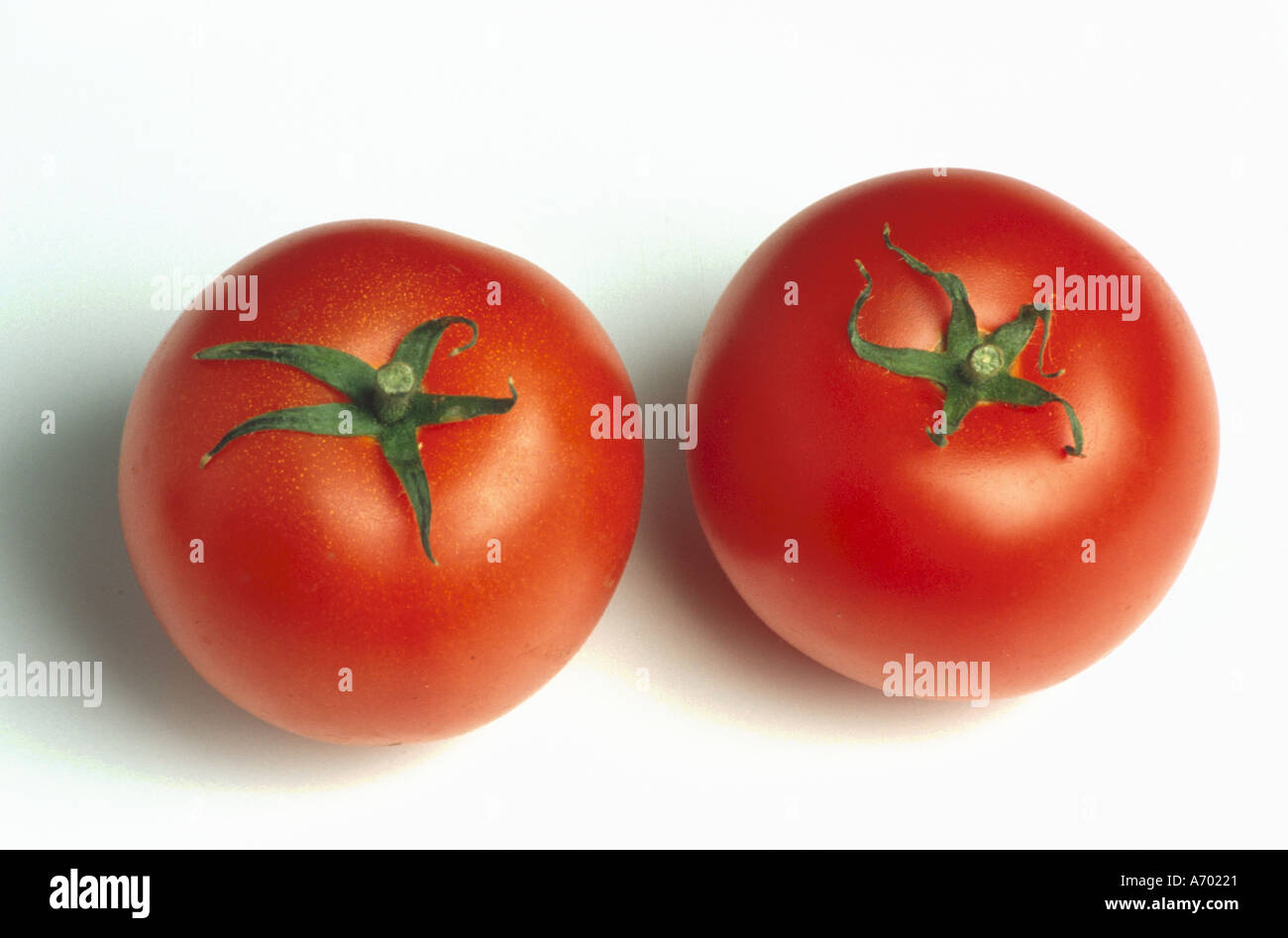 food vegetable fruit fruits red tomato tomatoes two Stock Photo - Alamy