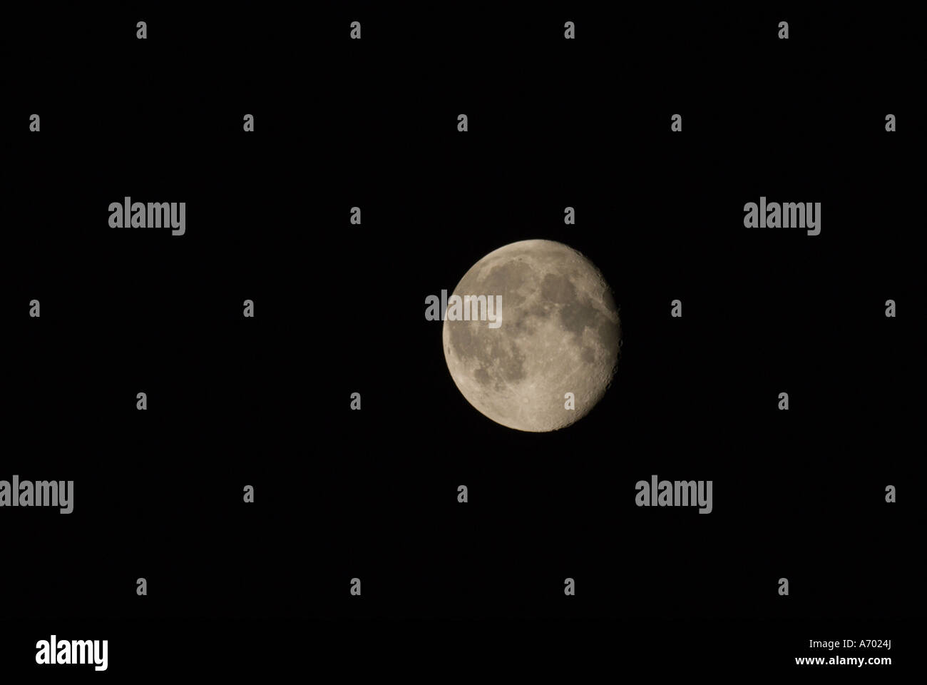 Hemosphere hi-res stock photography and images - Alamy