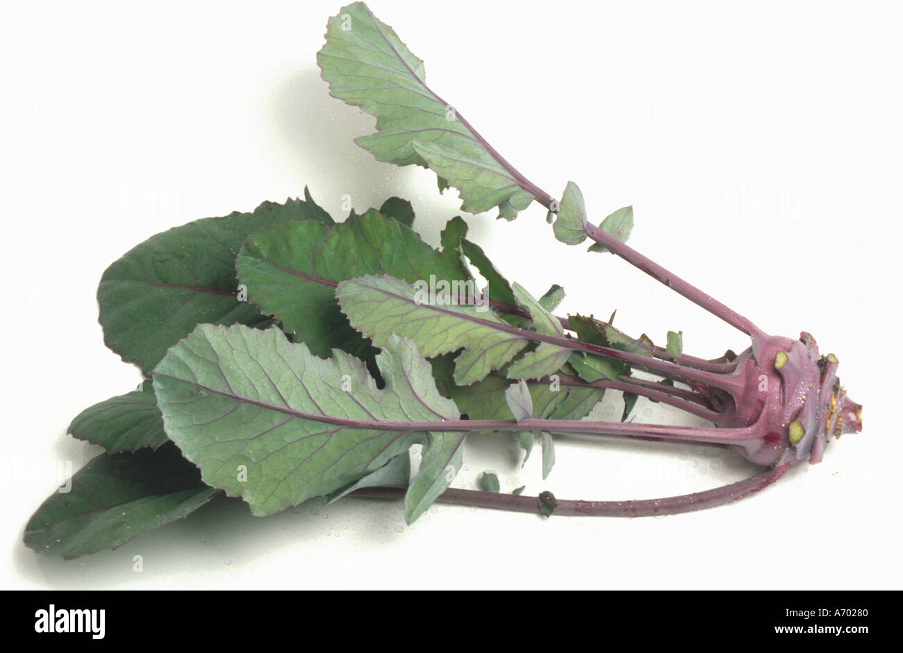 Food vegetable Kohlrabi Stock Photo - Alamy