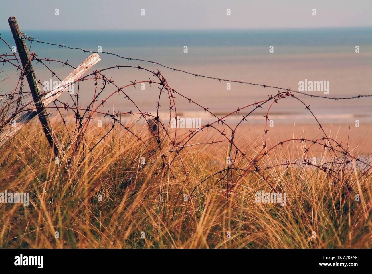 Utah Beach where American Forces landed on D Day in June 1944 during ...