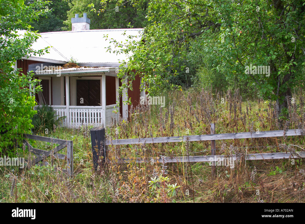 Traditional style Swedish wooden painted house. Overgrown unkempt ...