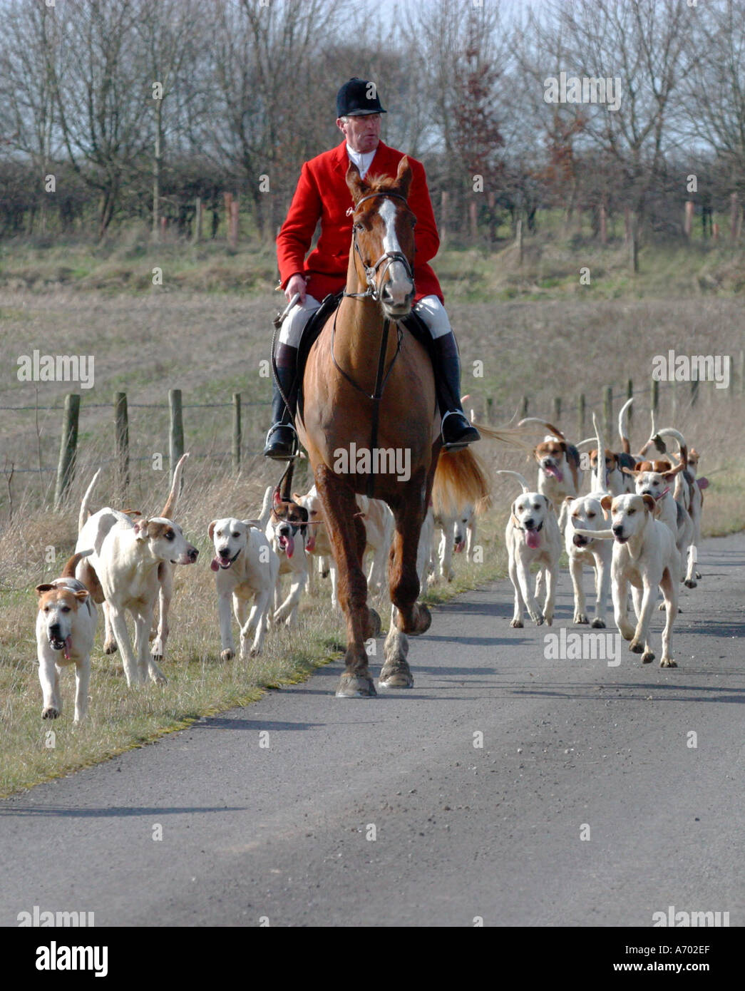Foxhunting in Wiltshire Stock Photo - Alamy