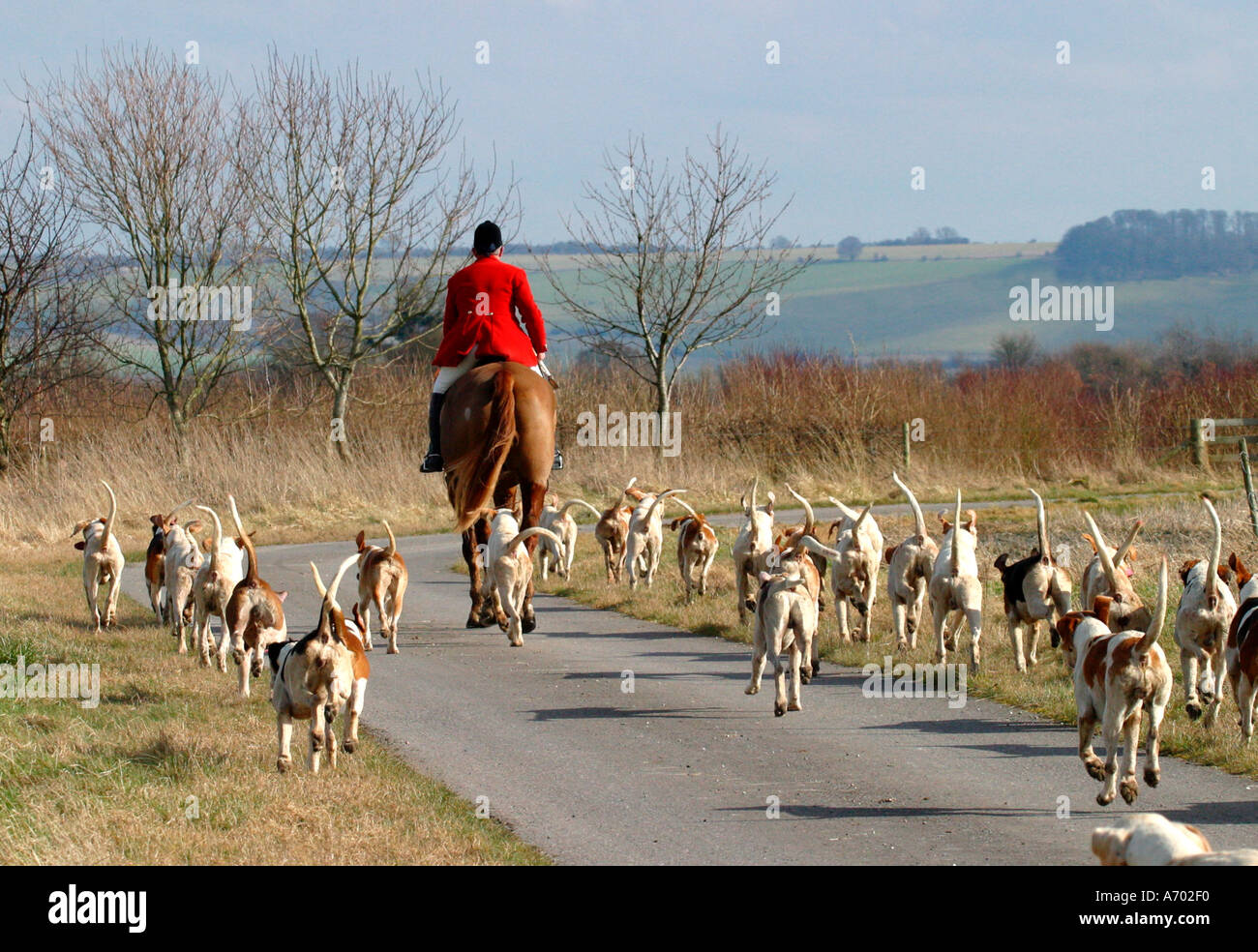 Foxhunting in Wiltshire Stock Photo - Alamy