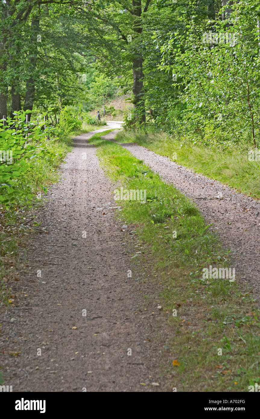 Country road. Through the forest. Smaland region. Sweden, Europe Stock ...